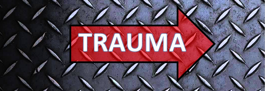 Trauma Network Resources | West MI Regional Medical Control Consortium